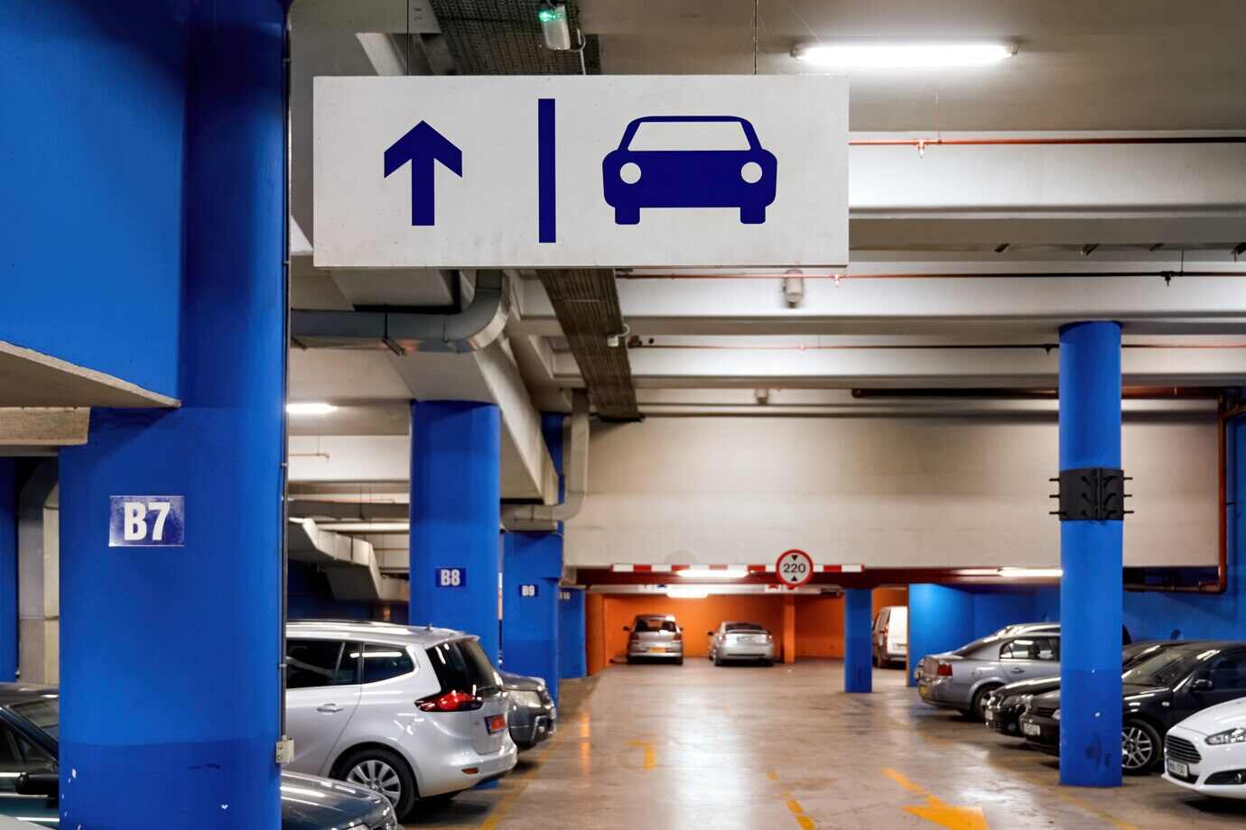 Where To Display Car Signs On Your Vehicle / Sign Servant / CA