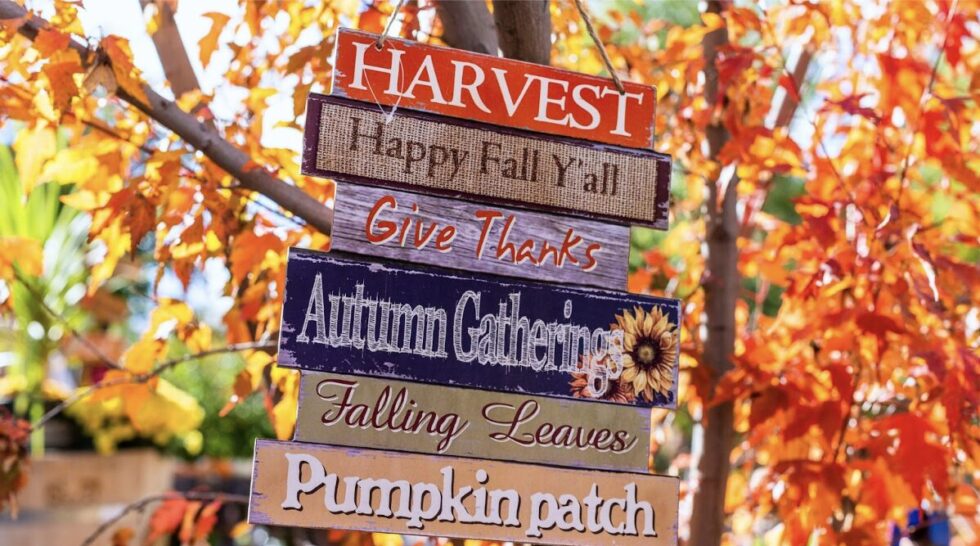 How to use signs to enhance your seasonal marketing campaigns
